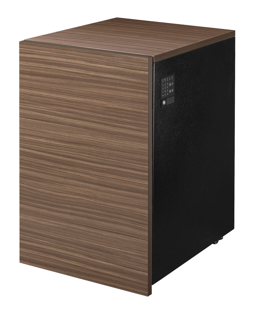 EIKO DRW-100BT Fire-Resistant Security Safe with Battery Backup UAE ...