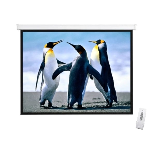 Anchor ANEAV360 180" Motorised Projector Screen – 4:3, Remote Control ...