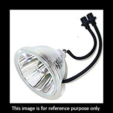 Buy Hitachi DT00231 Original Projector Bare Lamp in Dubai, Sharjah, Abu ...